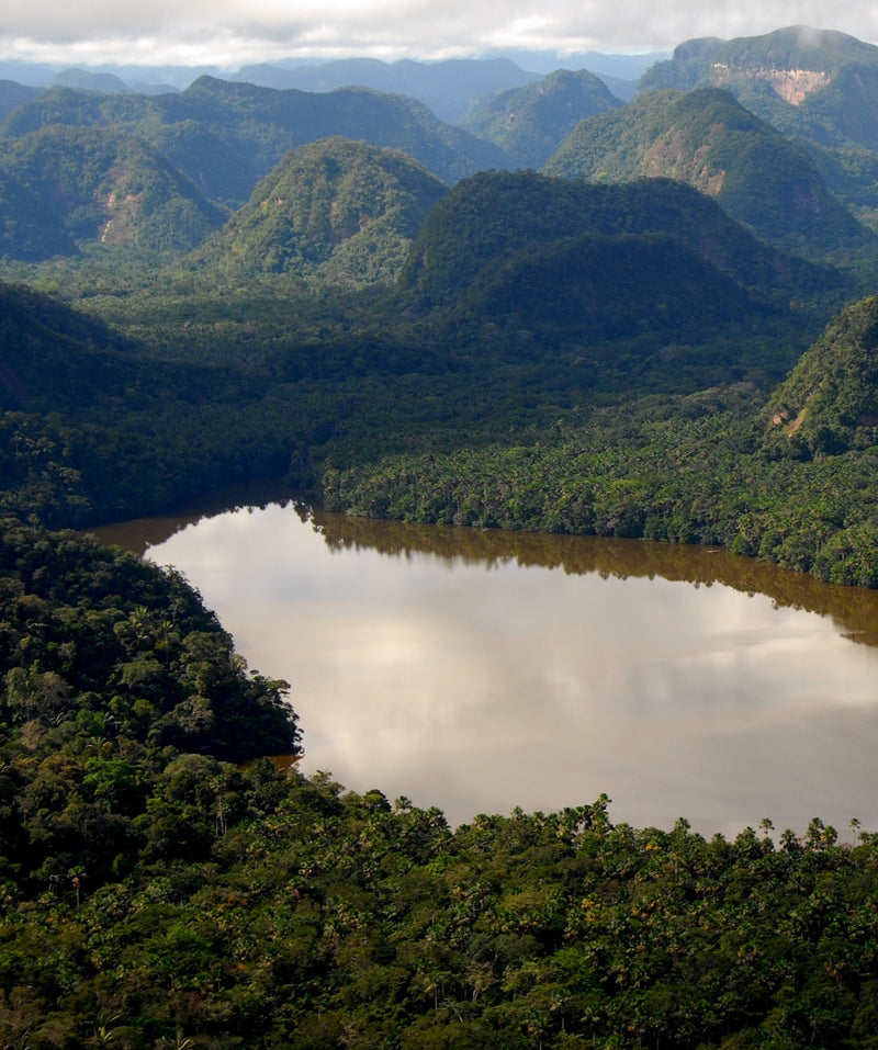 Women's Homepage — Nisolo